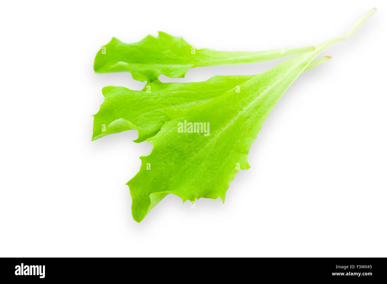 Rocket feed hi-res stock photography and images - Alamy