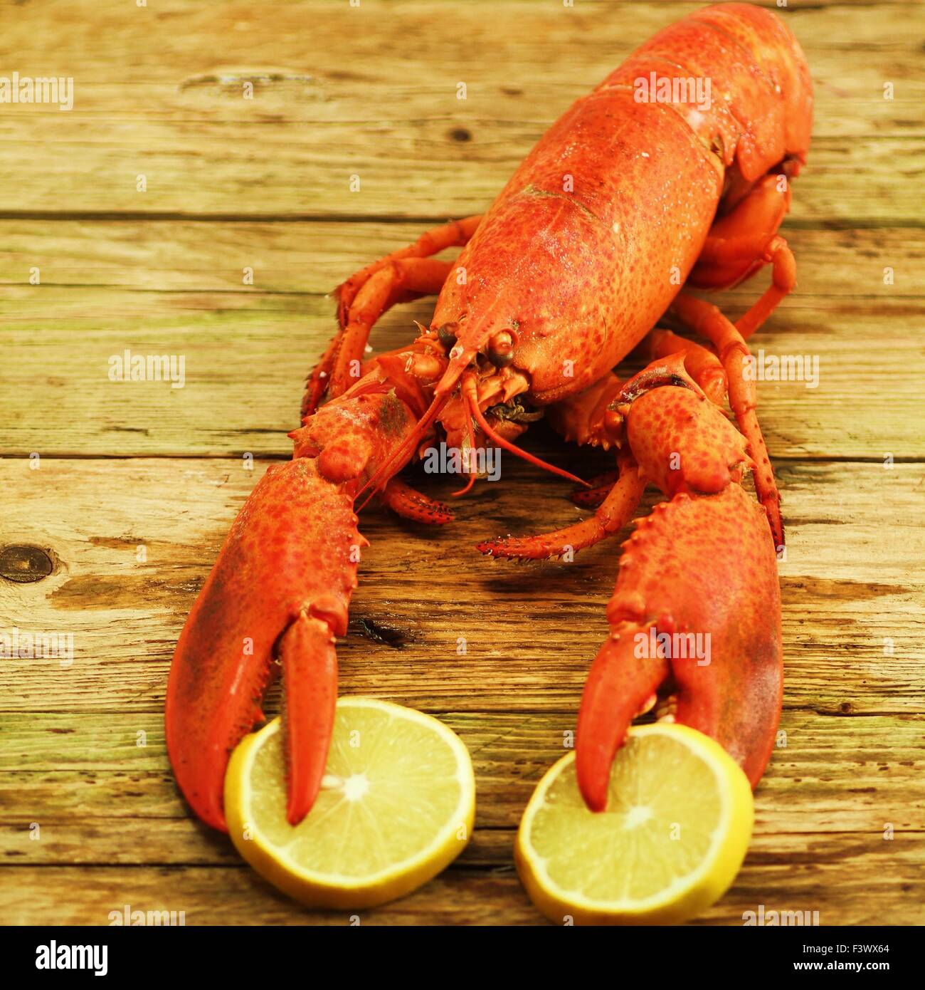 Komplett rot hi-res stock photography and images - Alamy
