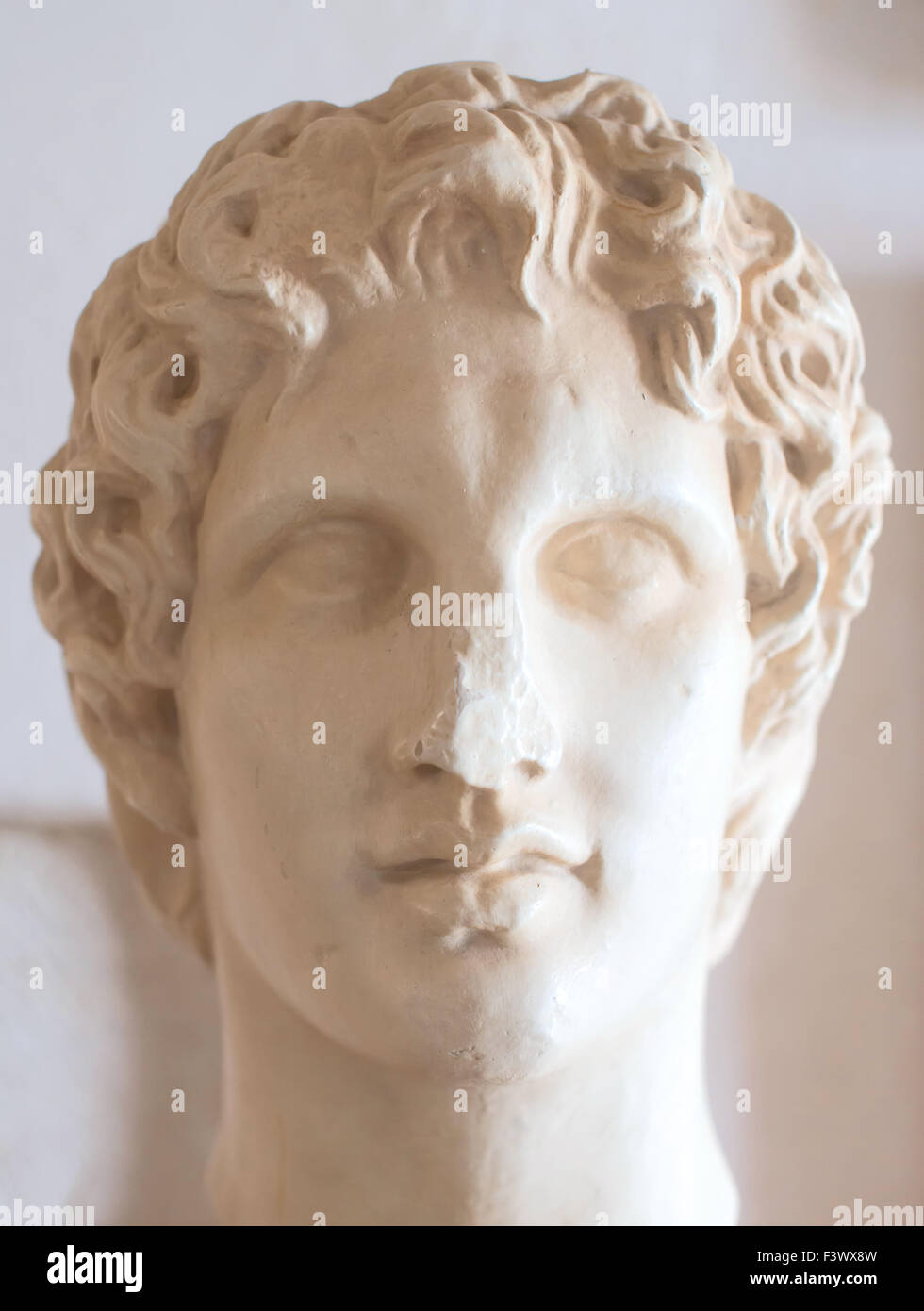 Bust Of Alexander The Great at Sherry Starks blog