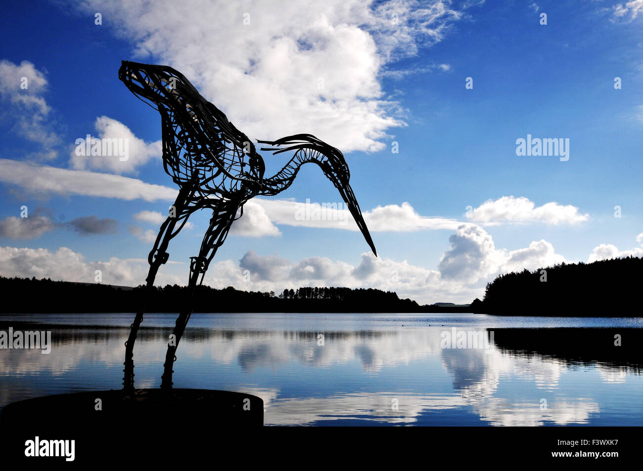 Autumn scenes at Entwistle Reservoir, Blackburn, Lancashire. The Wader ...