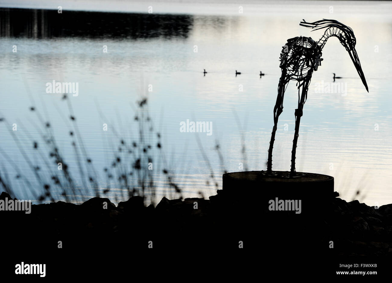 Autumn scenes at Entwistle Reservoir, Blackburn, Lancashire. The Wader ...