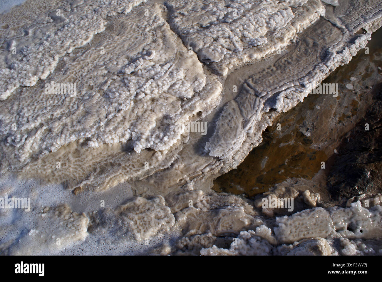 Oversaturated hi-res stock photography and images - Alamy