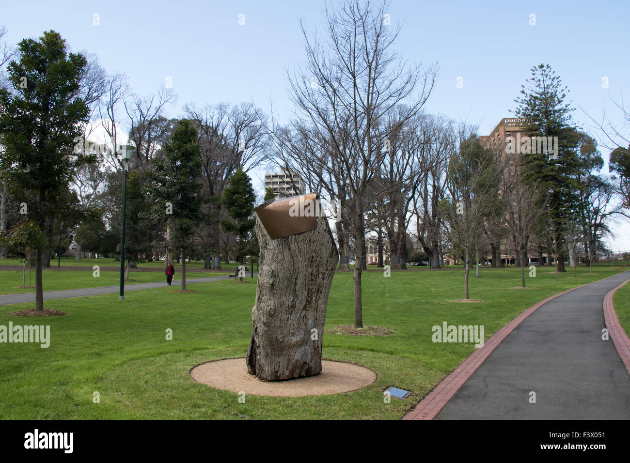 Scarred tree hi-res stock photography and images - Alamy