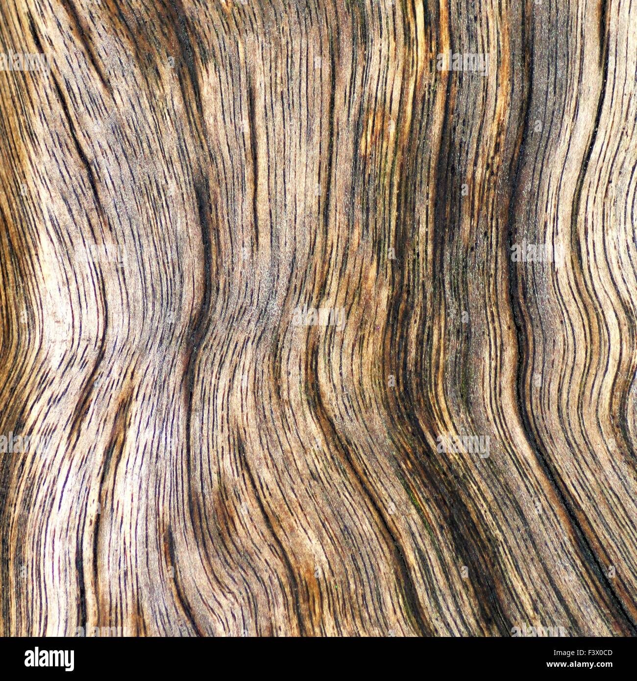 Texture of a weathered wood Stock Photo - Alamy