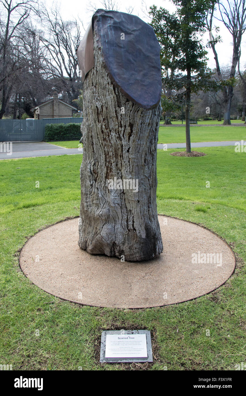 Scarred Tree in Fitzroy Gardens, Melbourne Stock Photo - Alamy