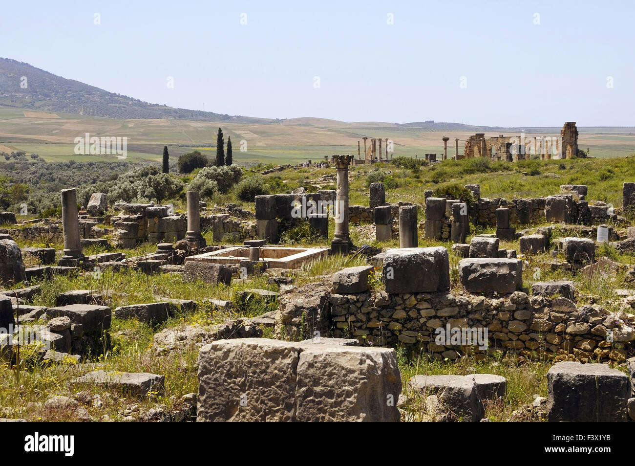 Morocco Volubilis Roman settlement Stock Photo - Alamy