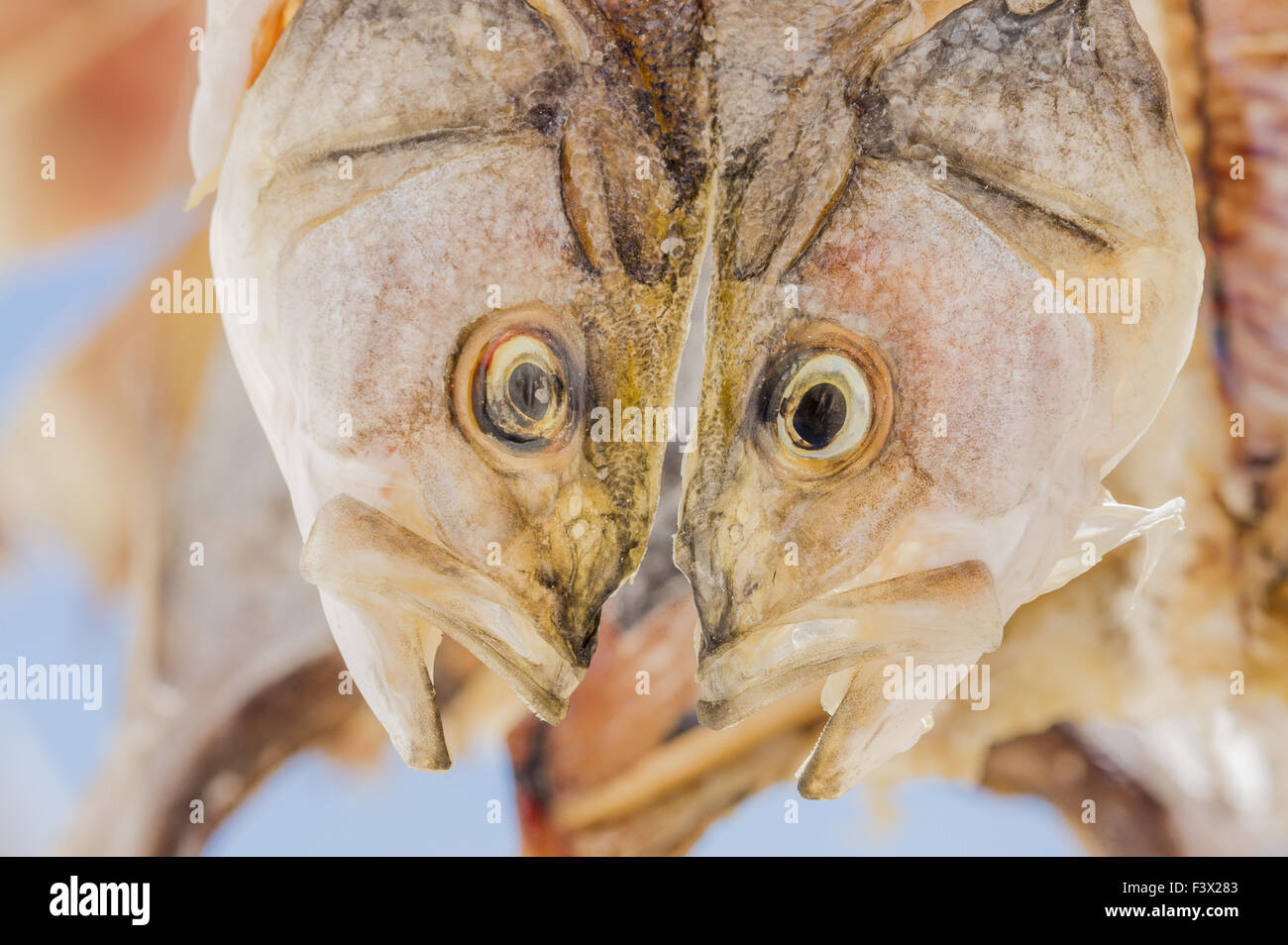 dried fish, horizontal Stock Photo - Alamy