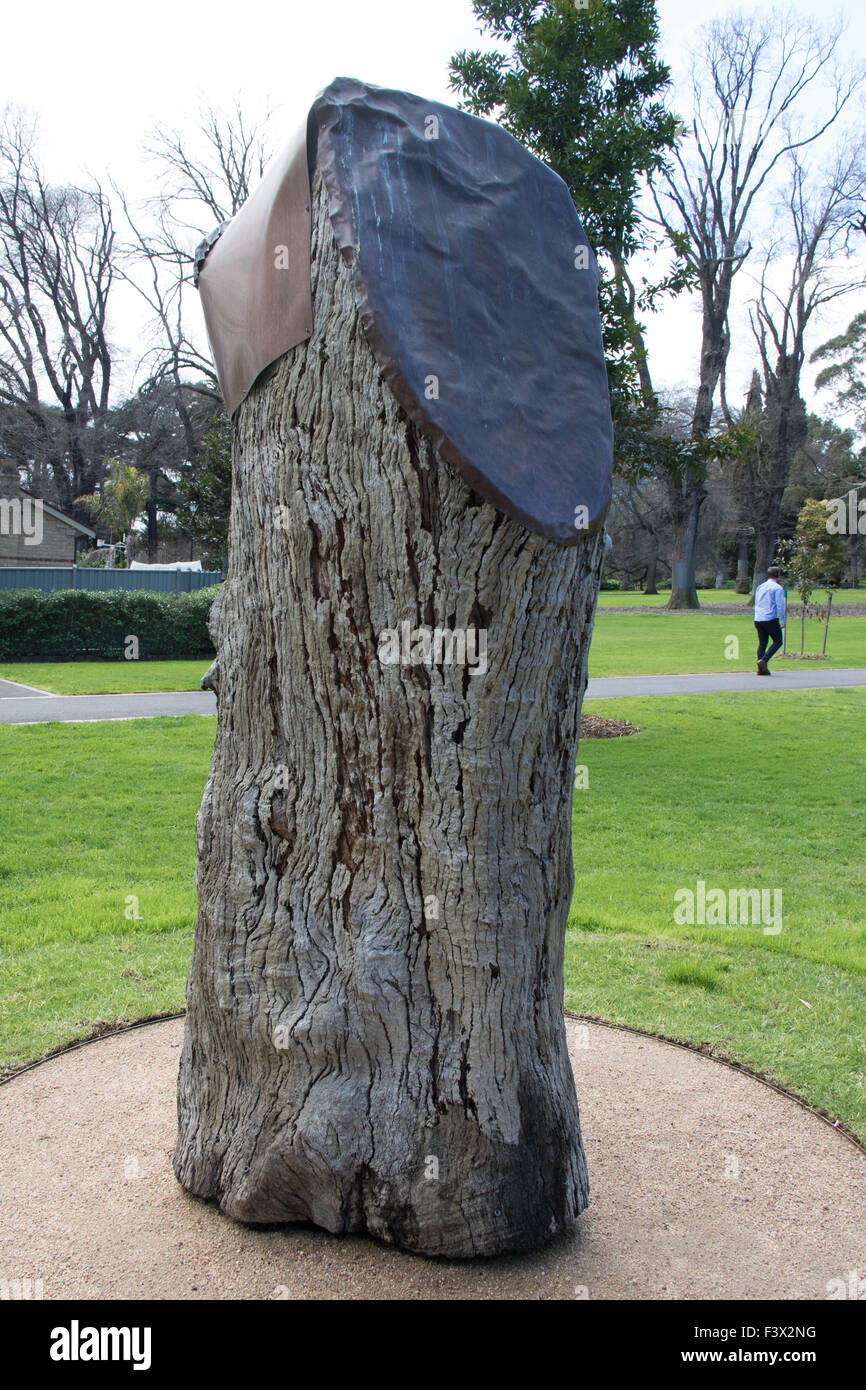 Scarred Tree in Fitzroy Gardens, Melbourne Stock Photo - Alamy