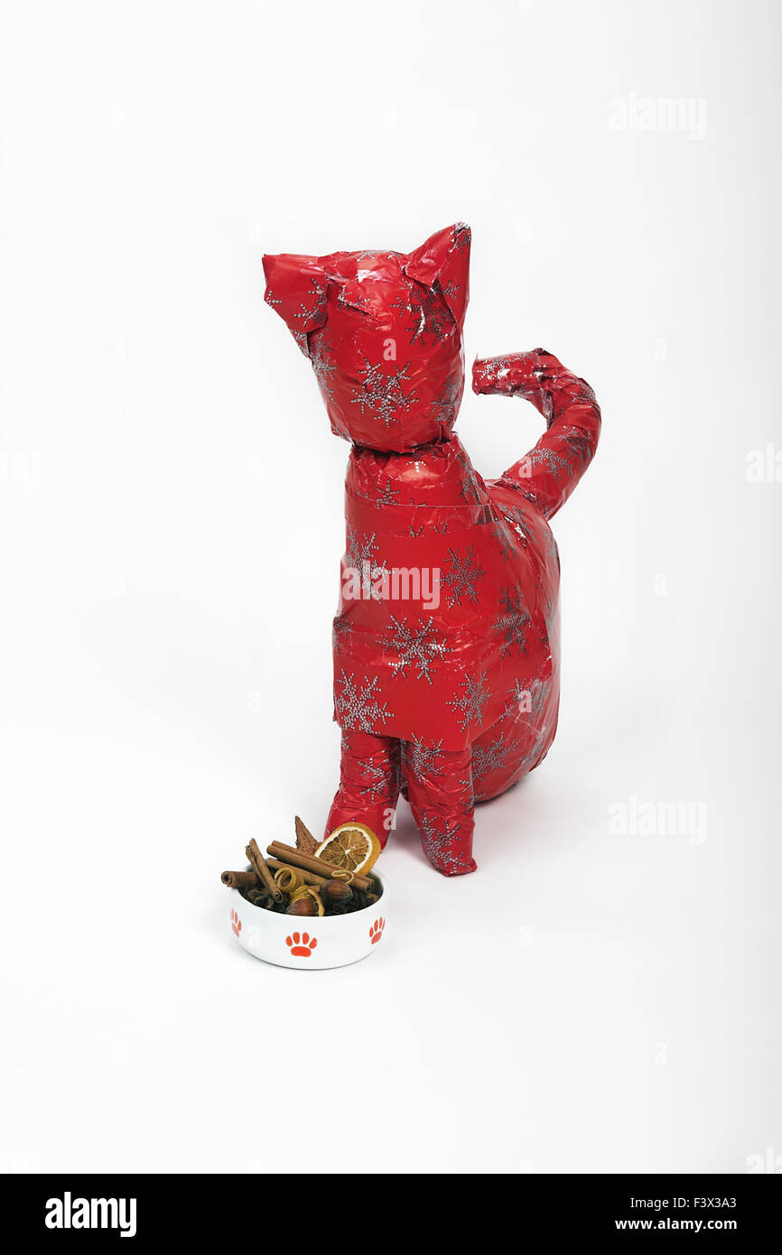 Cat dummy wrapped in paper Stock Photo - Alamy