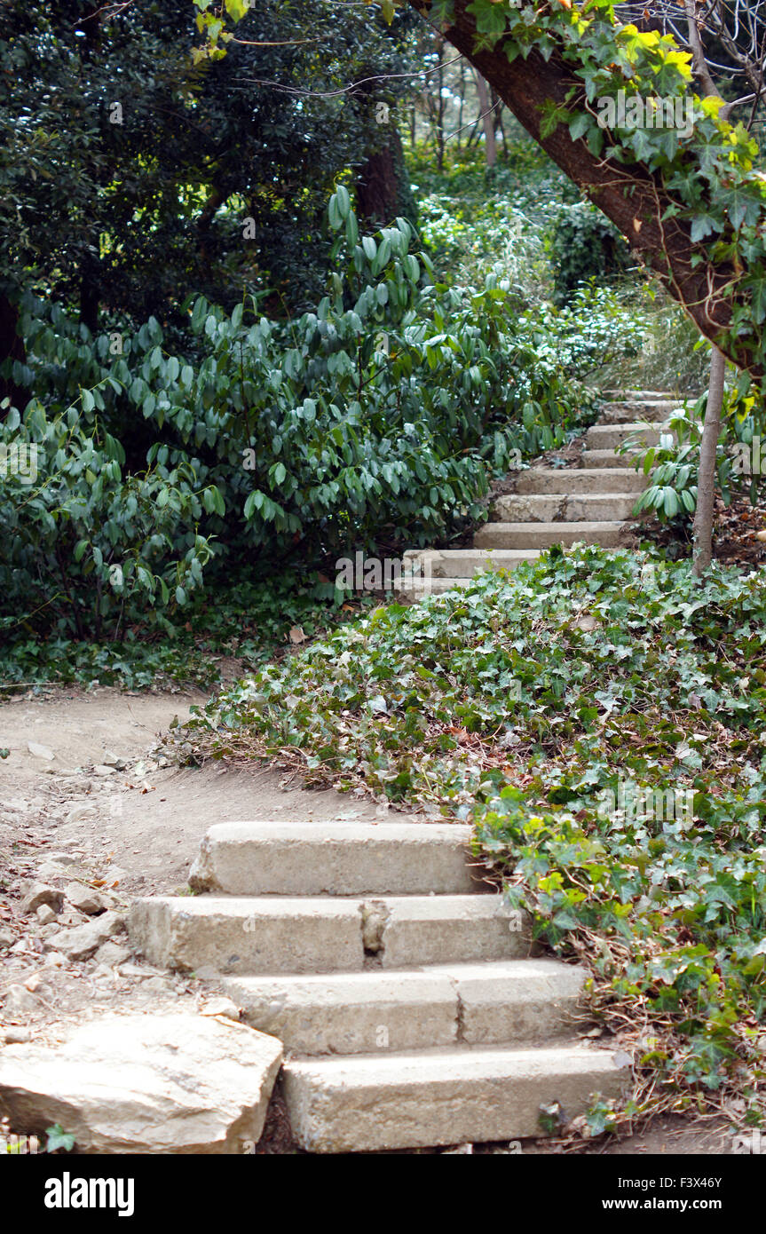 Spring time: step way in the garden Stock Photo - Alamy