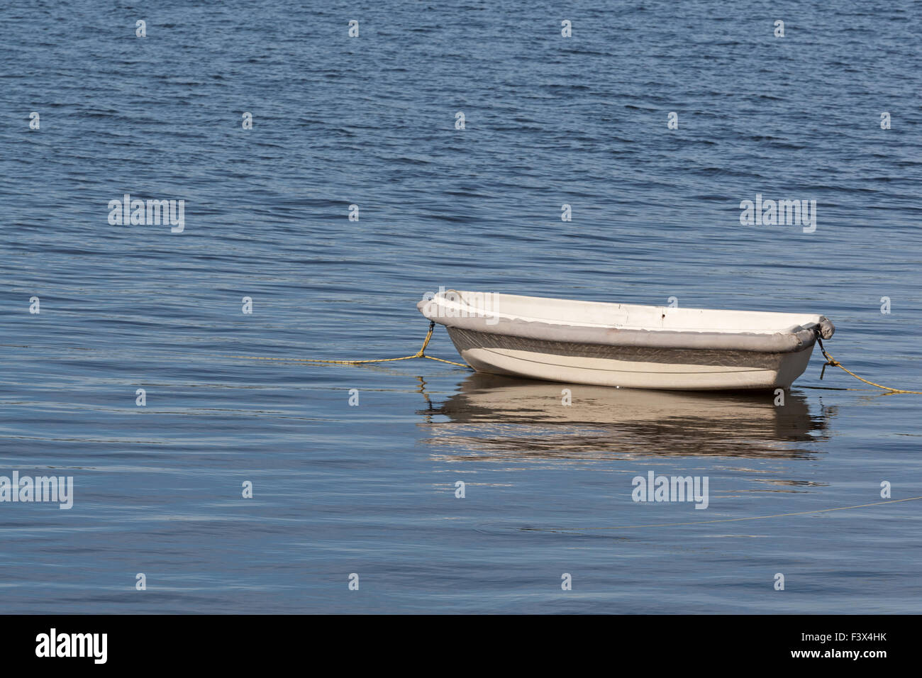 A very small dinghy tied off fore and aft floating in protected waters ...