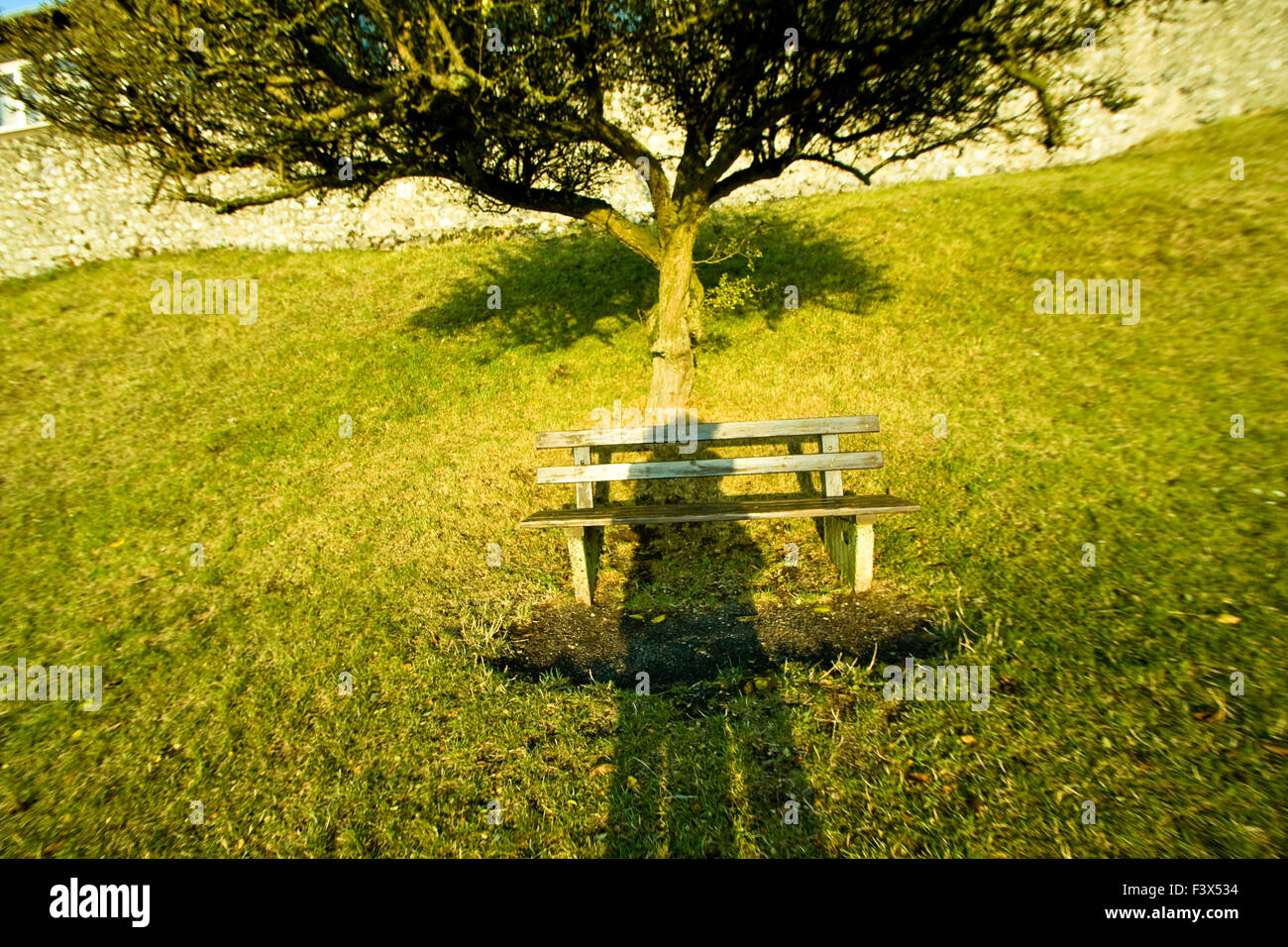 banch, tree, shadow Stock Photo - Alamy
