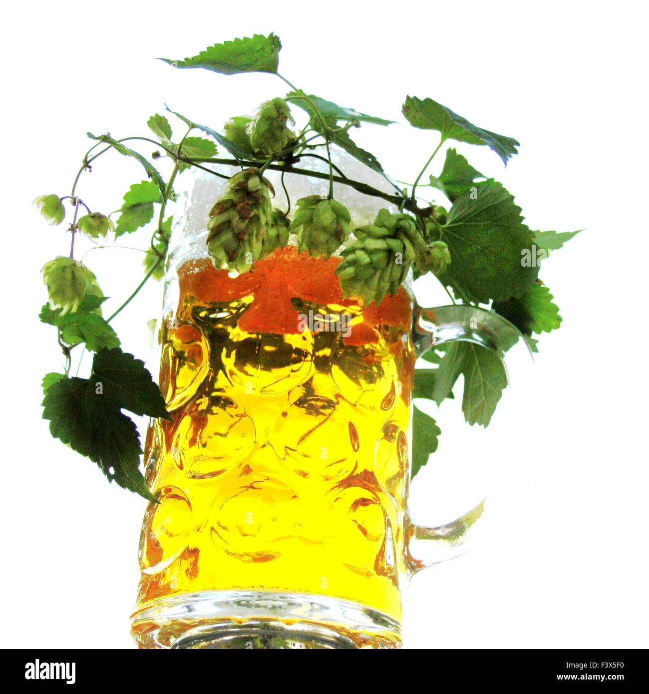 Beer and hops Stock Photo - Alamy