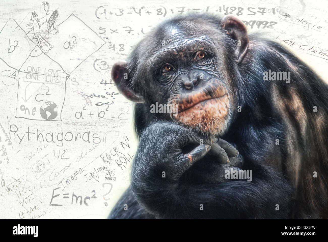 Denkvermogen hi-res stock photography and images - Alamy