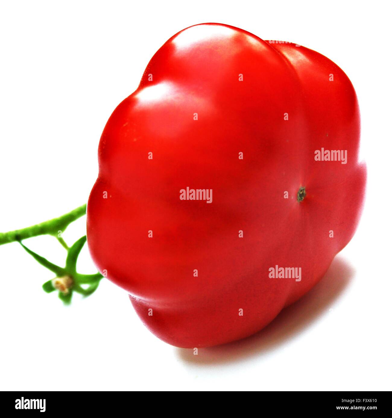 Tomato battle hi-res stock photography and images - Alamy