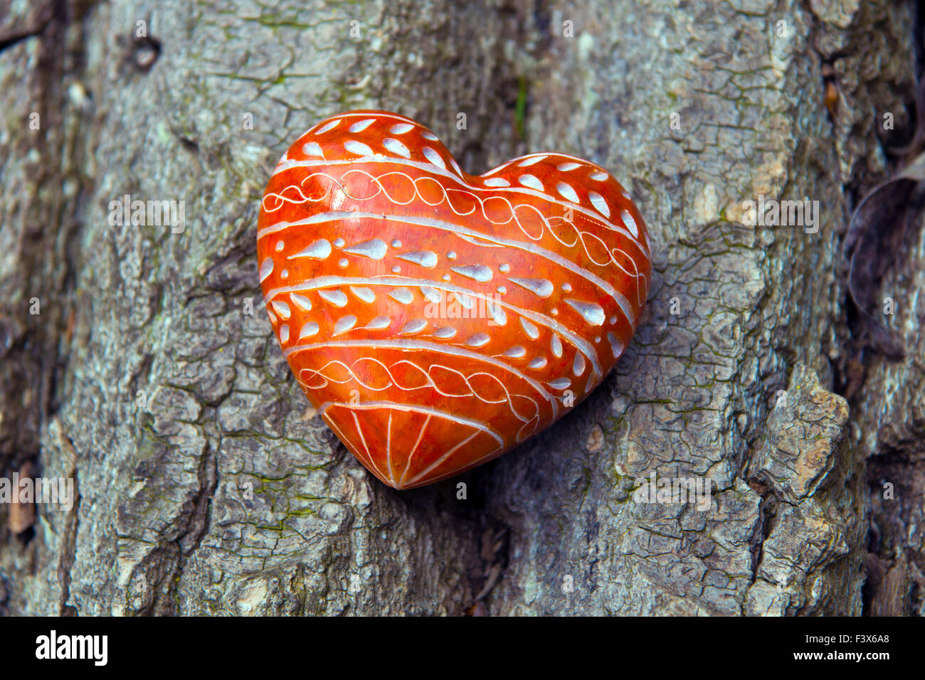 Tree heart rot hi-res stock photography and images - Alamy