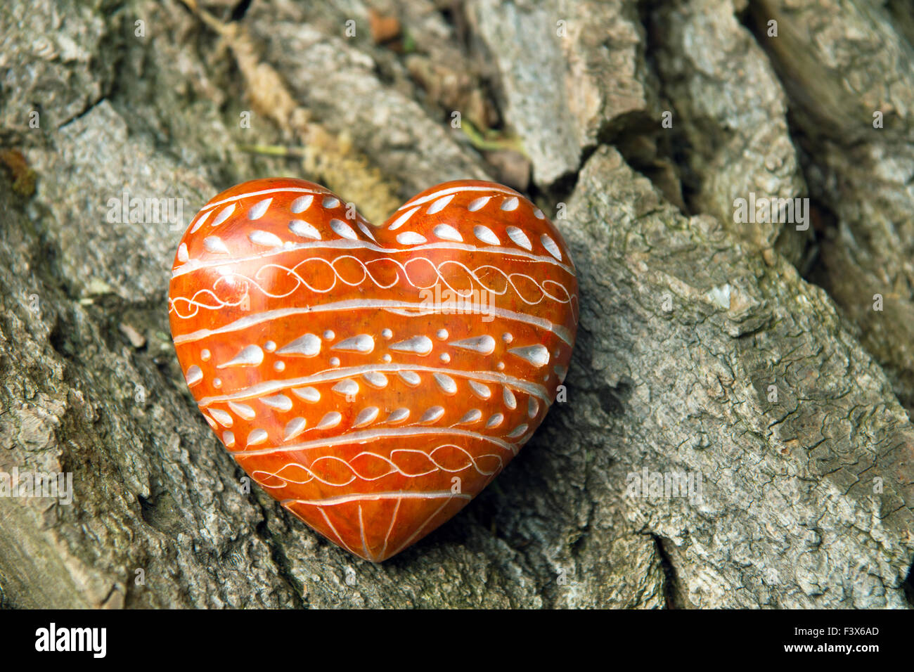 Tree heart rot hi-res stock photography and images - Alamy