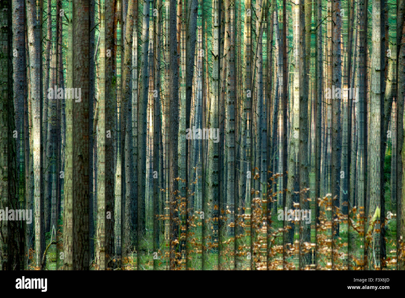 The structure of magic hi-res stock photography and images - Alamy