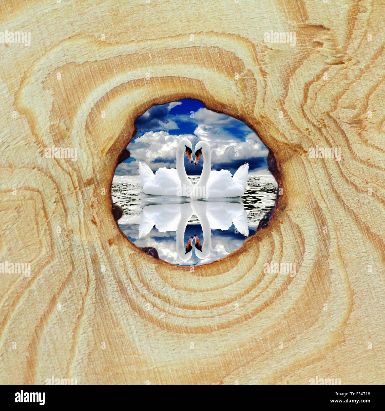 Closeness to nature Stock Photo - Alamy