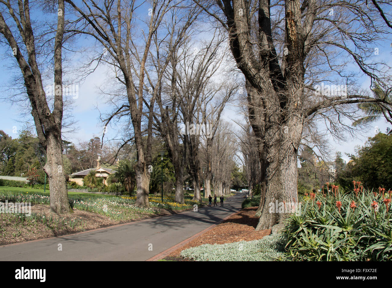 Fitzroy gardens in melbourne hi-res stock photography and images - Alamy