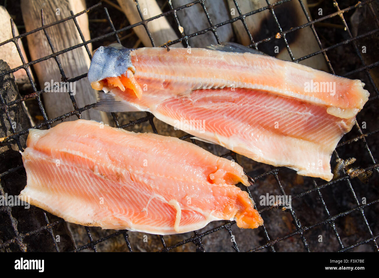 Sickle fish hi-res stock photography and images - Alamy