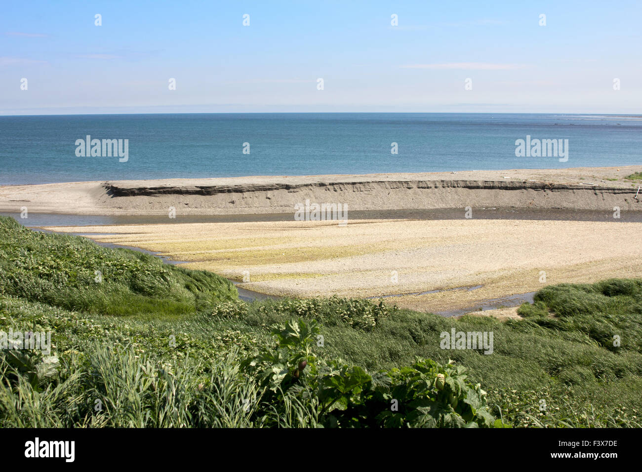 River mouth environment hi-res stock photography and images - Alamy