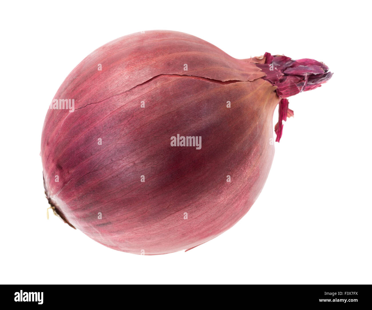 A large red onion isolated on a white background Stock Photo - Alamy