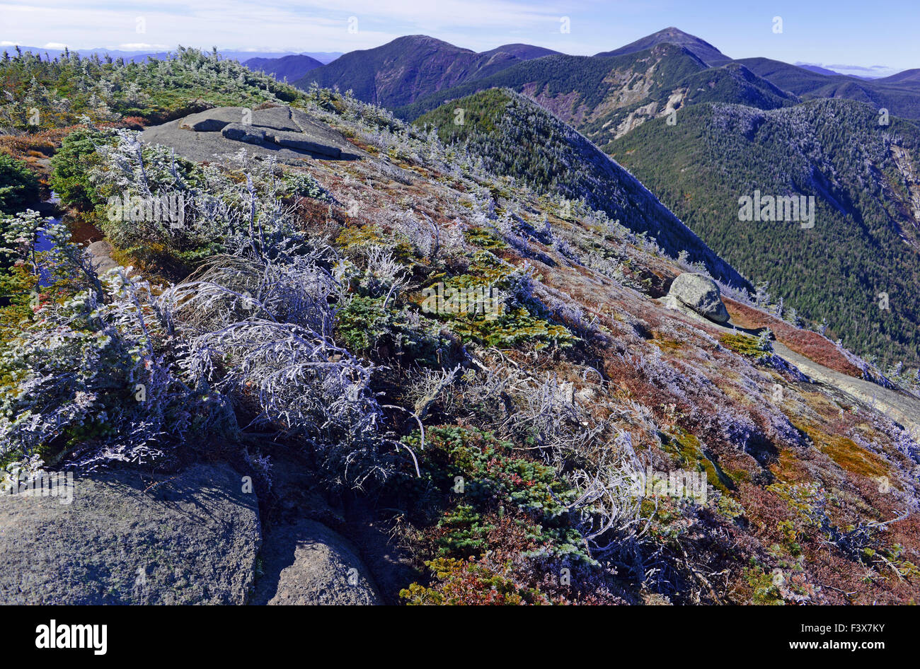 Alpine landscape as seen while climbing Gothics Mountain, Adirondacks ...