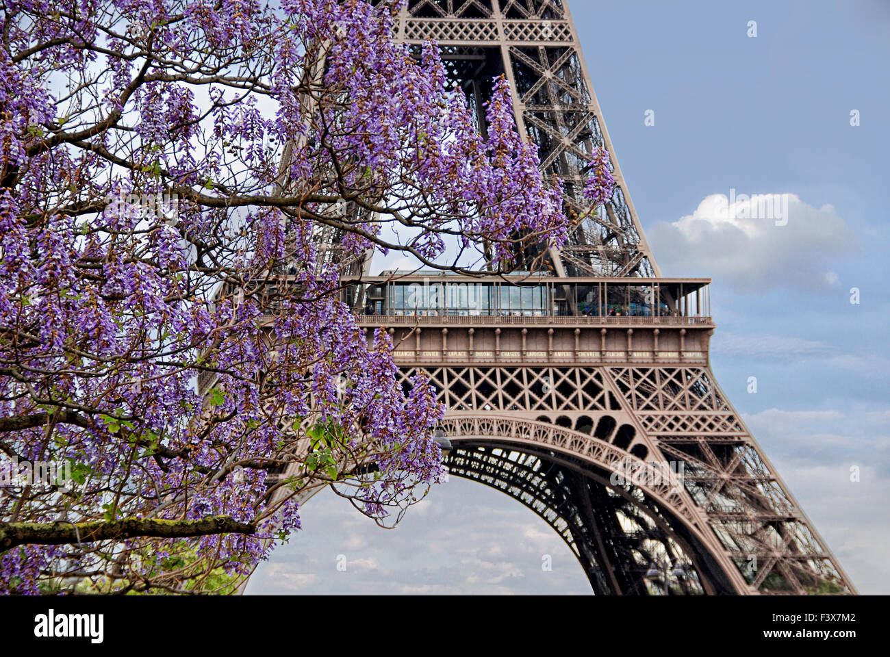 springtime in Paris Stock Photo - Alamy