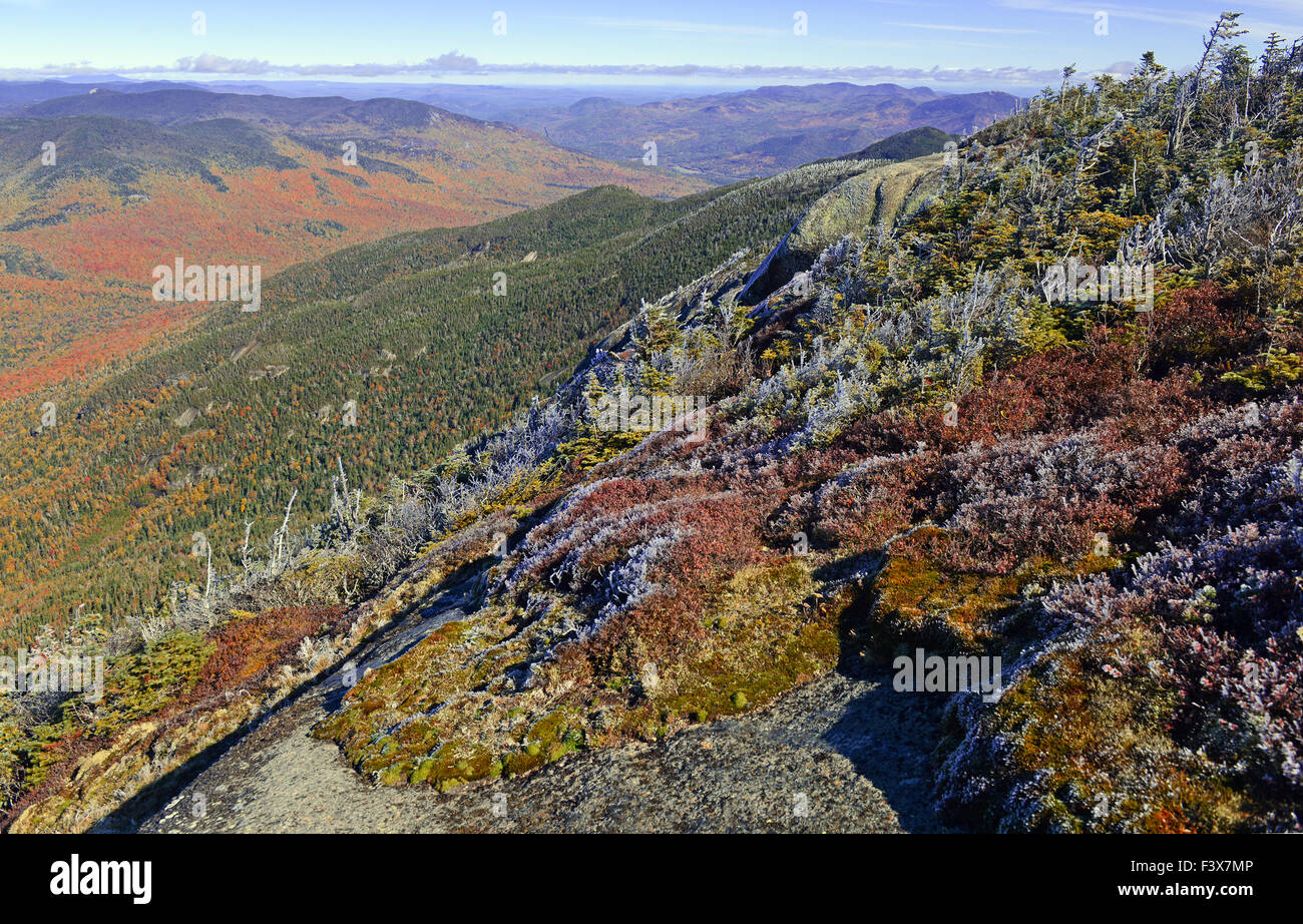 Alpine landscape as seen while climbing Gothics Mountain, Adirondacks ...