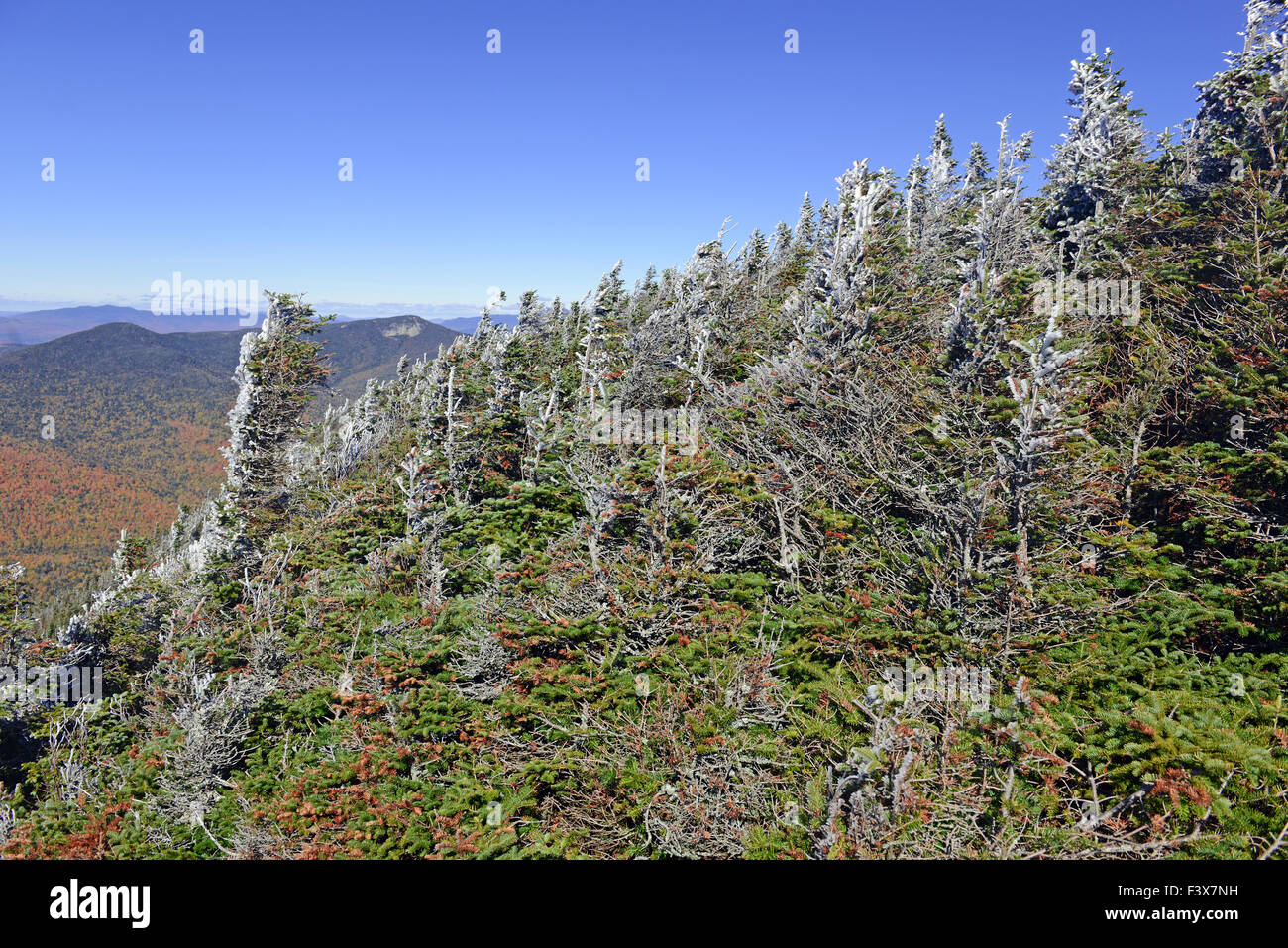 Alpine landscape as seen while climbing Gothics Mountain, Adirondacks ...