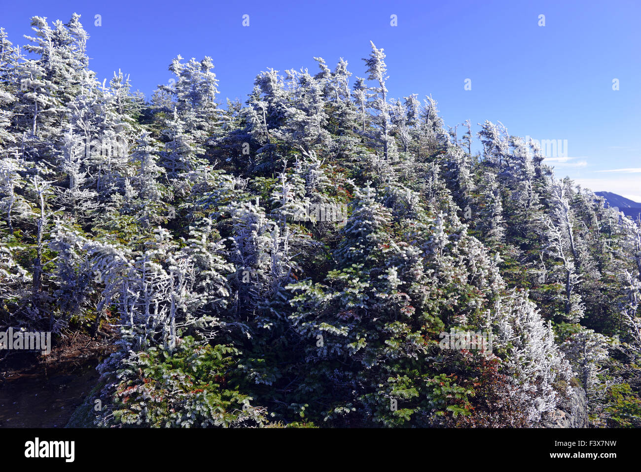 Alpine landscape as seen while climbing Gothics Mountain, Adirondacks ...