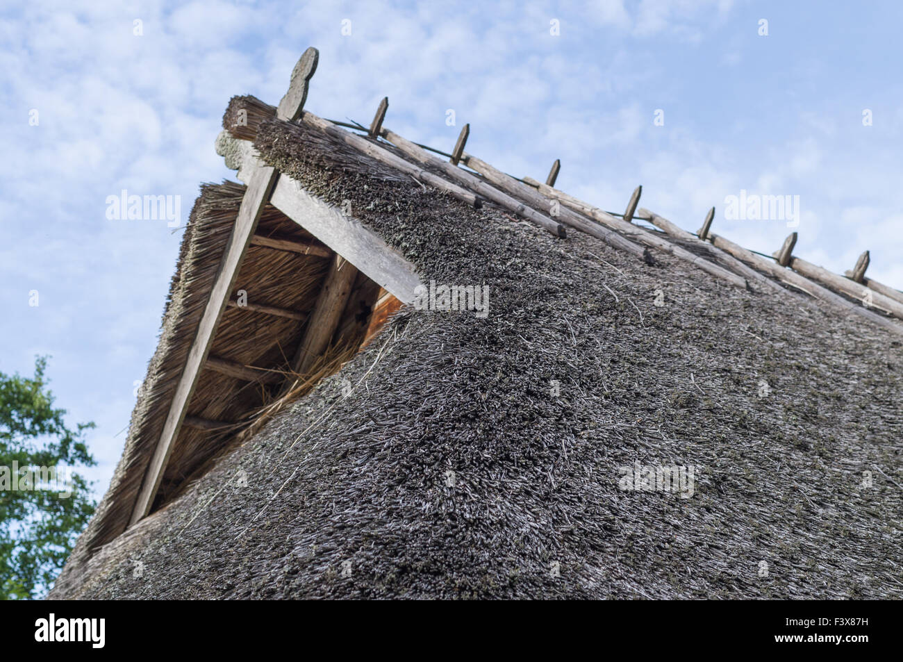 Straw roof hi-res stock photography and images - Alamy