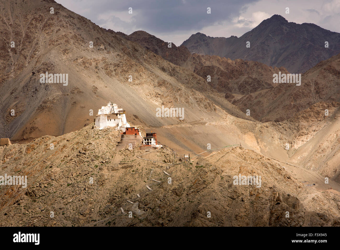 India, Jammu & Kashmir, Ladakh, Leh, elevated view of Namgyal Tsemo ...