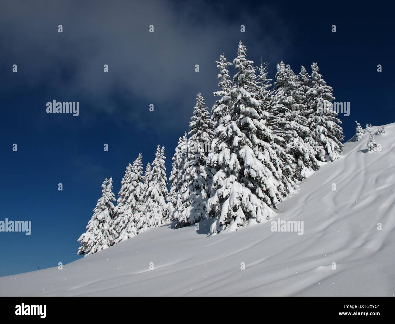 Snow dream hi-res stock photography and images - Alamy