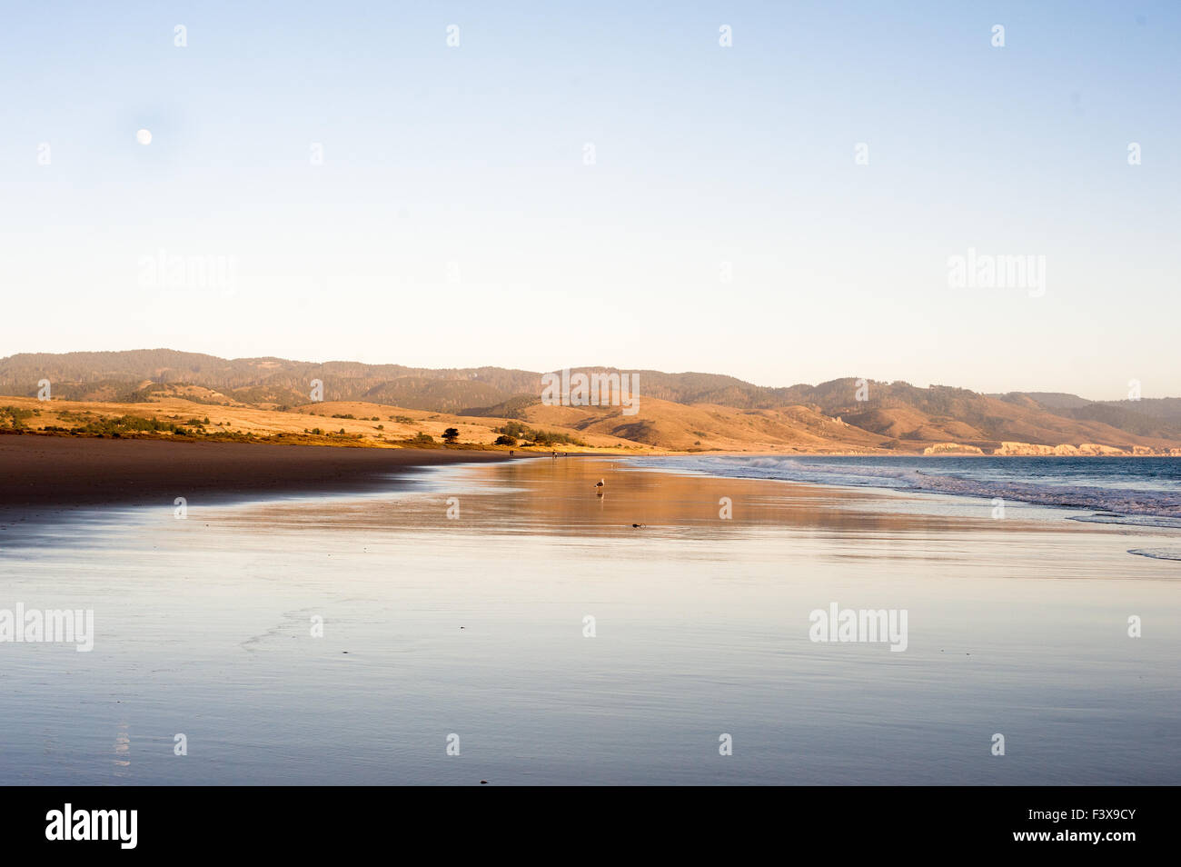 Glimmering sea hi-res stock photography and images - Alamy