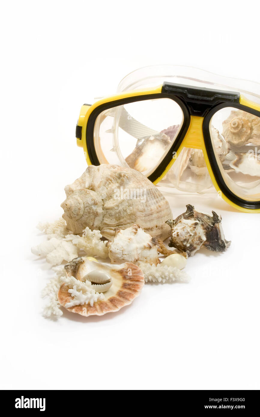 Deep shells hi-res stock photography and images - Alamy