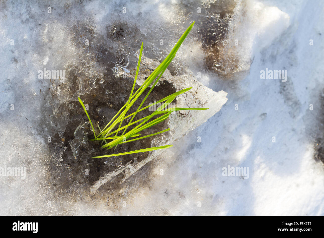 Start spring hi-res stock photography and images - Alamy