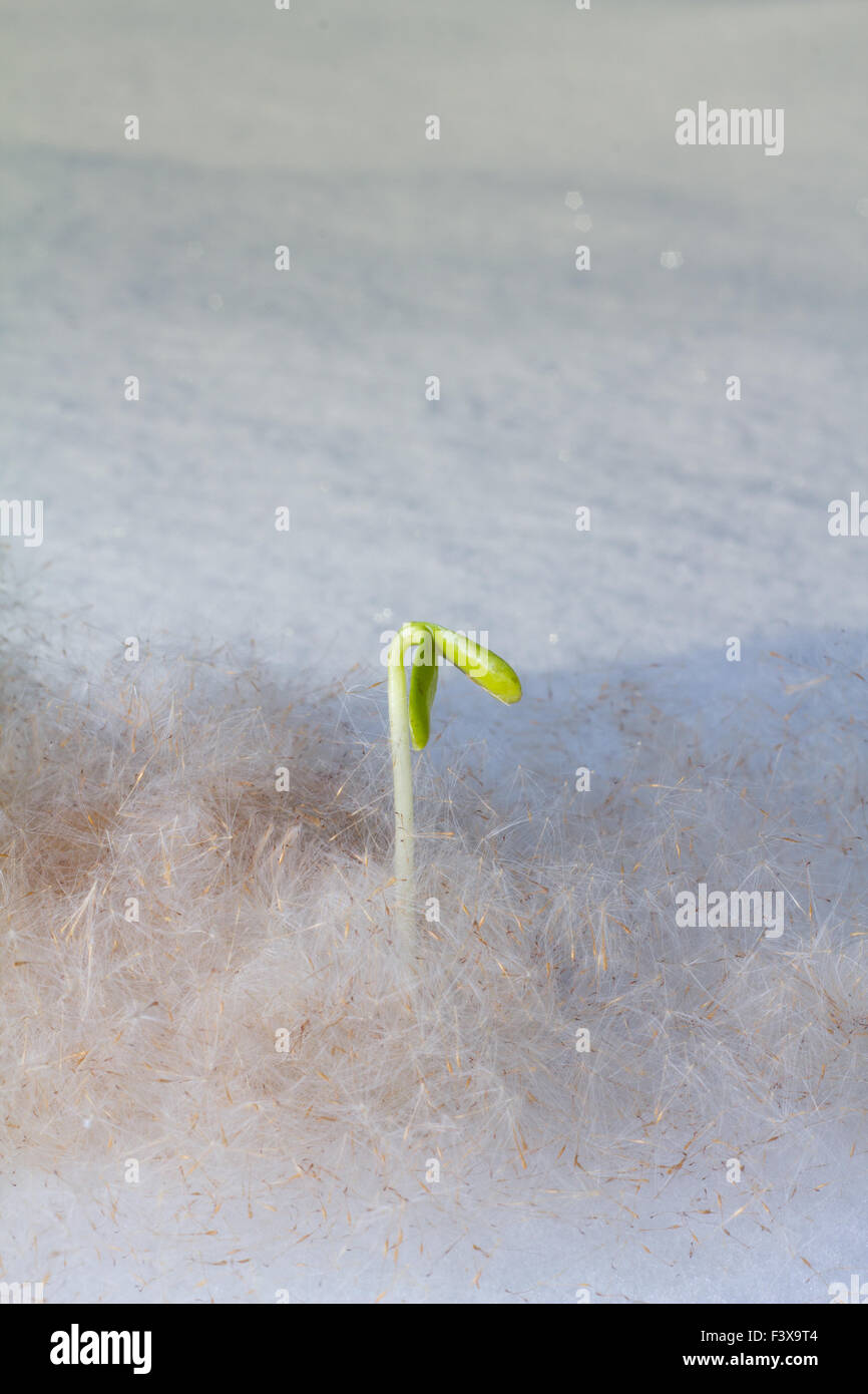 Soft start hi-res stock photography and images - Alamy