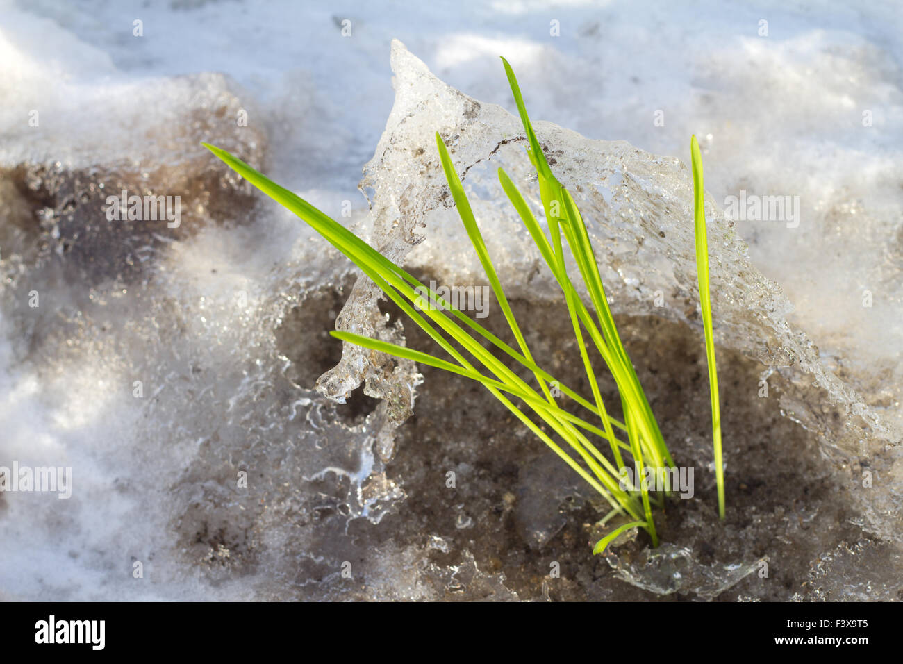 Spring start hi-res stock photography and images - Alamy