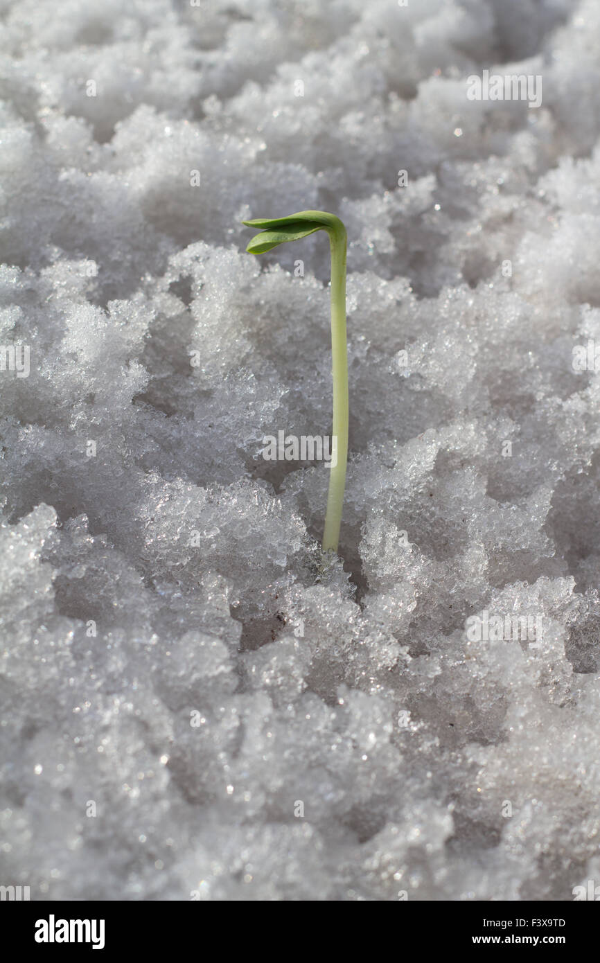 Spring start hi-res stock photography and images - Alamy