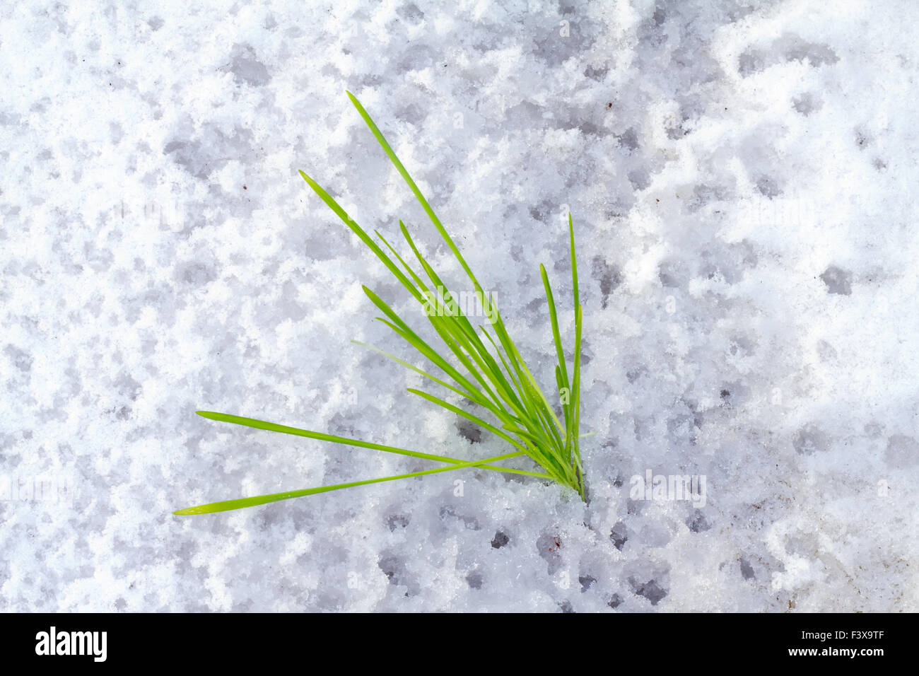 Spring symbol spring start hi-res stock photography and images - Alamy