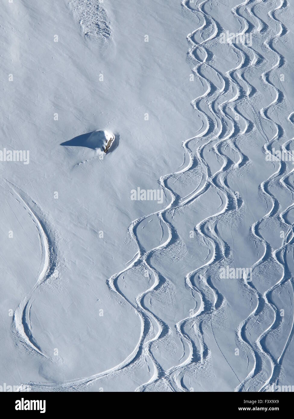 Ski tracks in the snow Stock Photo - Alamy