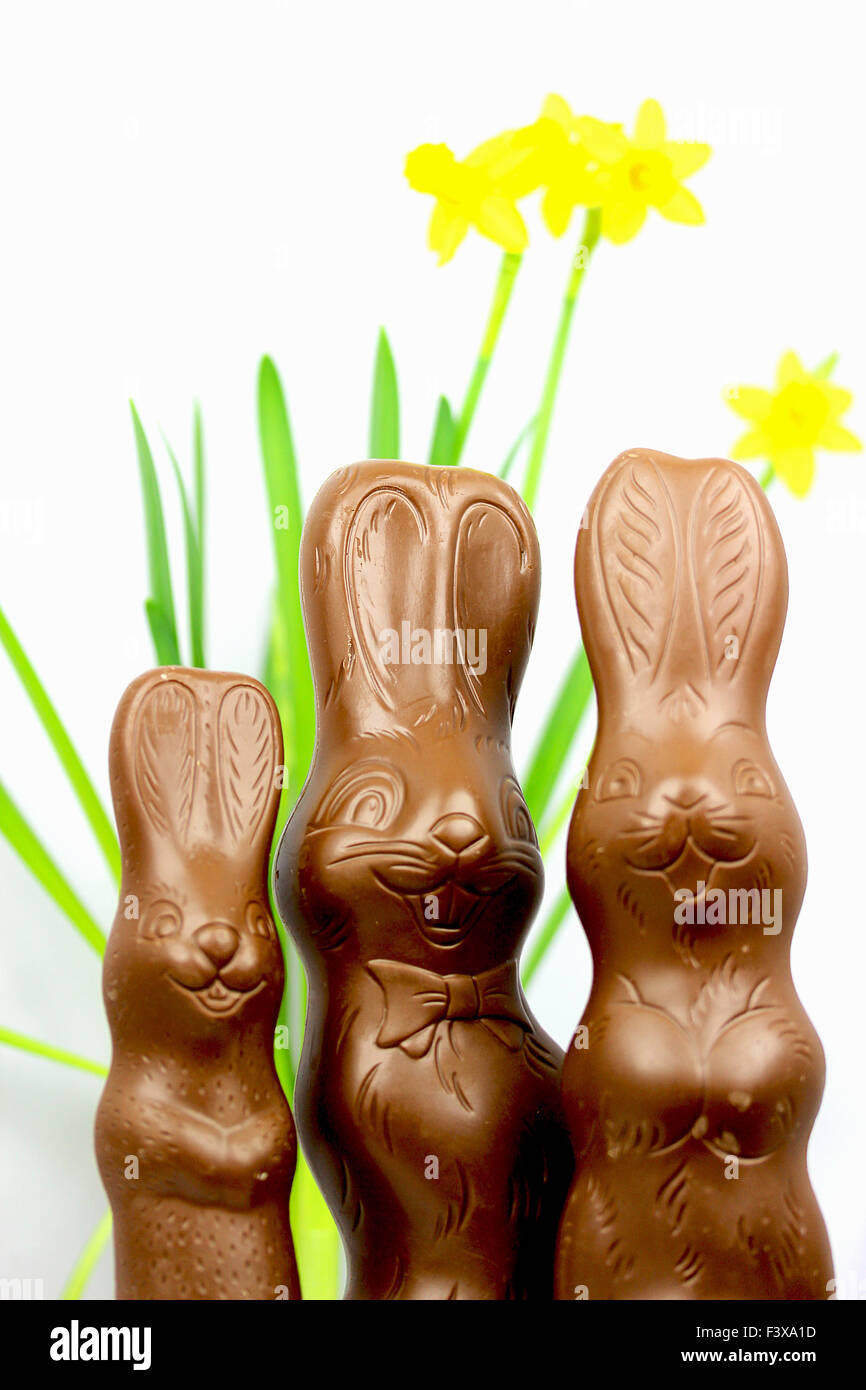 Collection of daffodils hi-res stock photography and images - Alamy