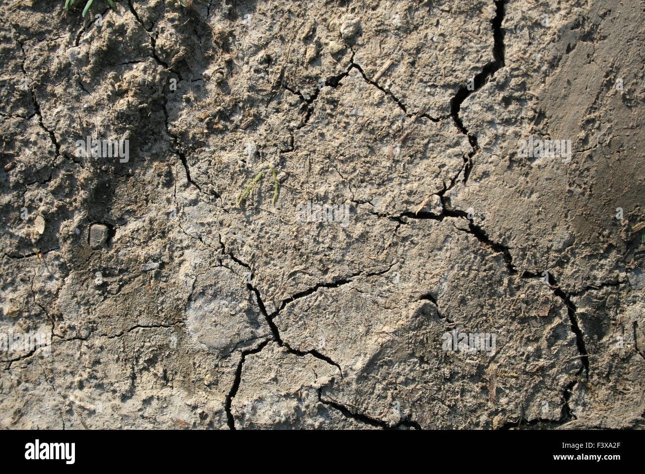Foundation rock hi-res stock photography and images - Alamy