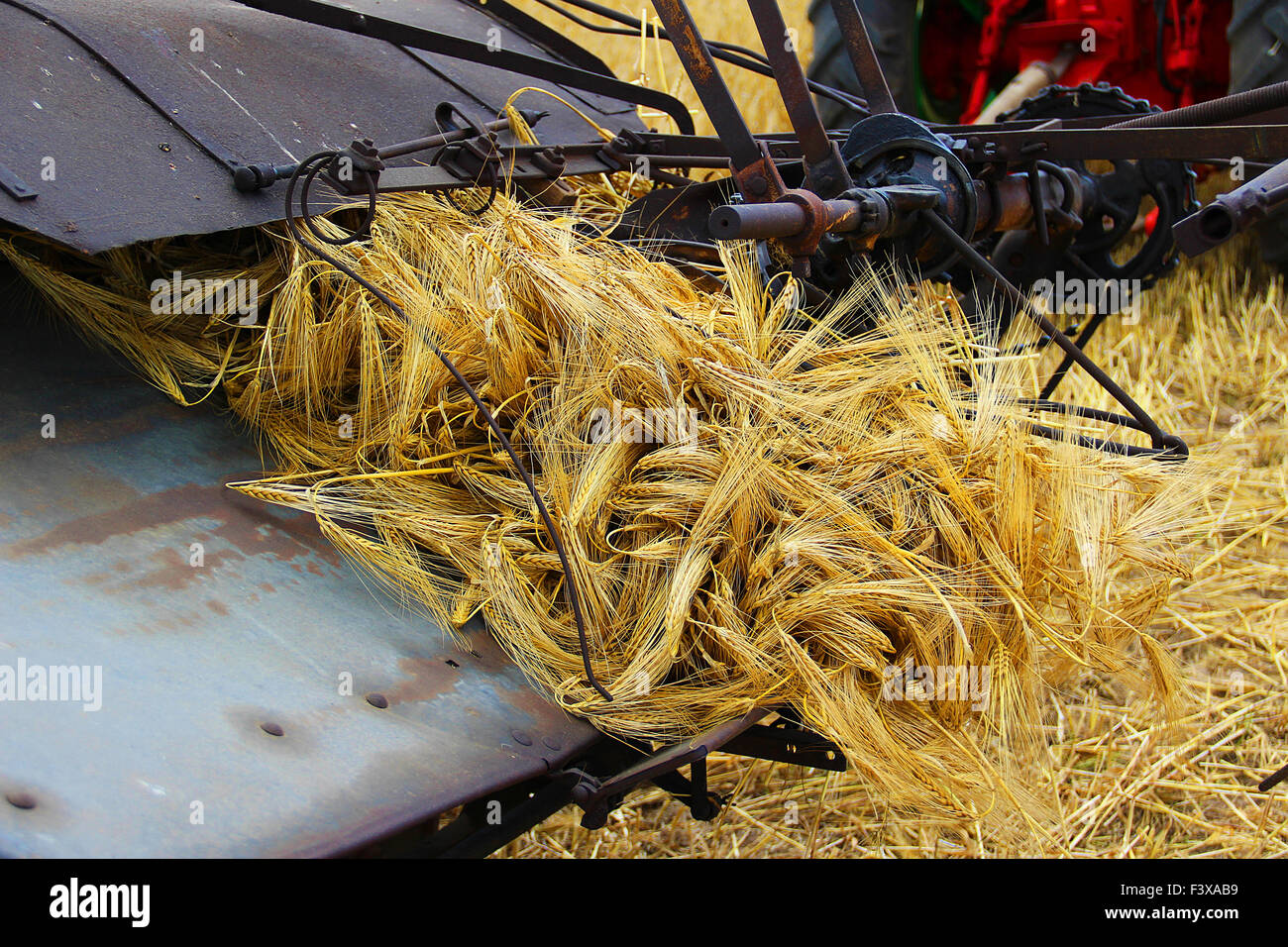 Getreideernte ernte hi-res stock photography and images - Alamy