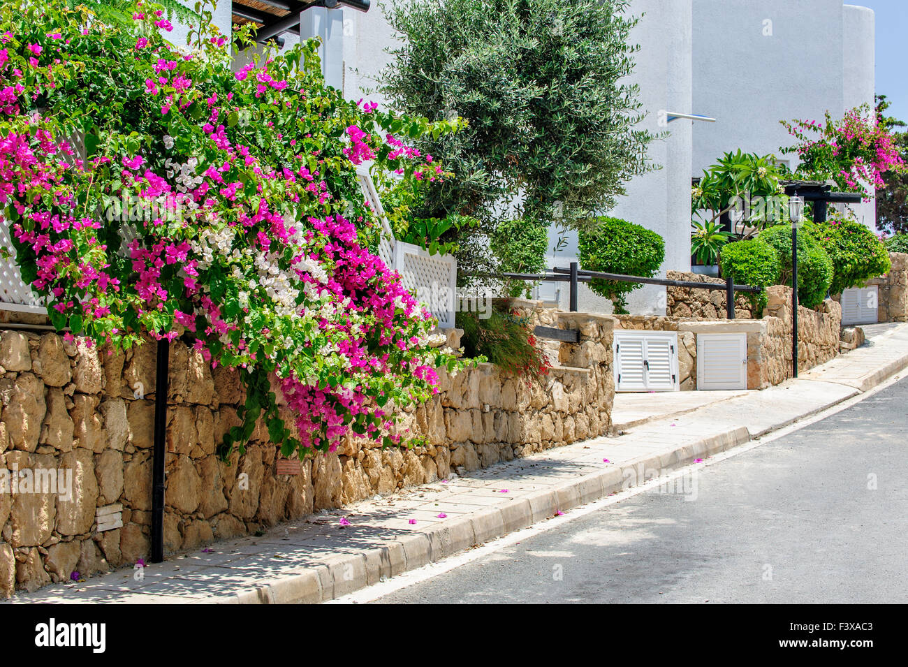 Lantern with bougainvillea flowers hi-res stock photography and images ...