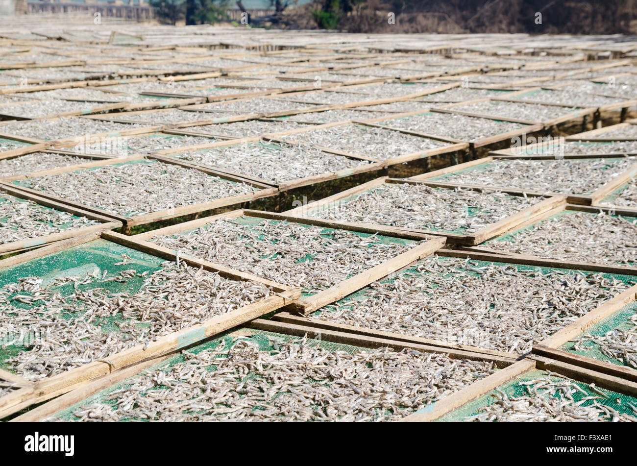 Drying frames hi-res stock photography and images - Alamy