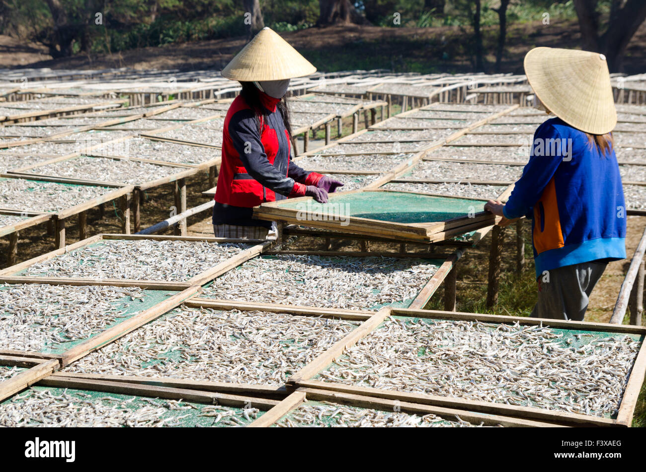Drying frames hi-res stock photography and images - Alamy
