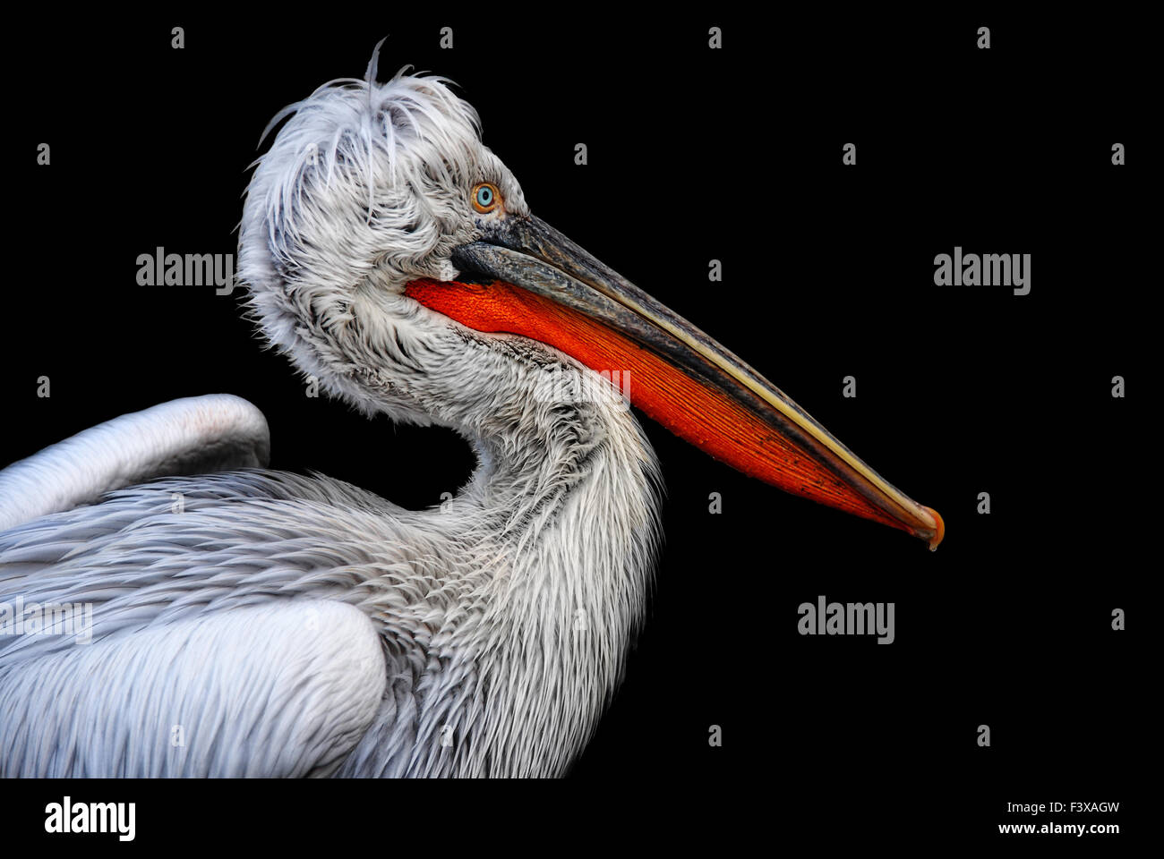 Bad day hi-res stock photography and images - Alamy